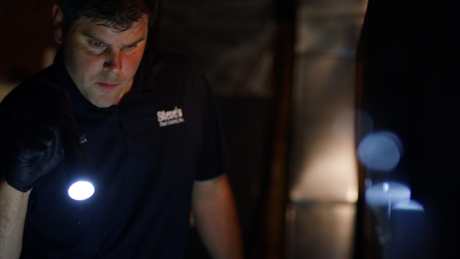 Pest Control Services in Mid-Missouri | Steve’s Pest Control